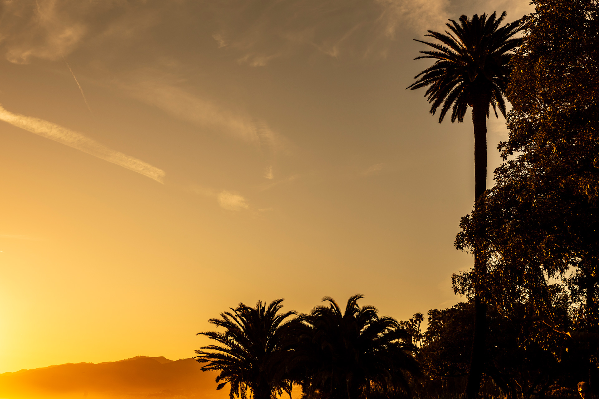 Contact - Carolina Rizzotto