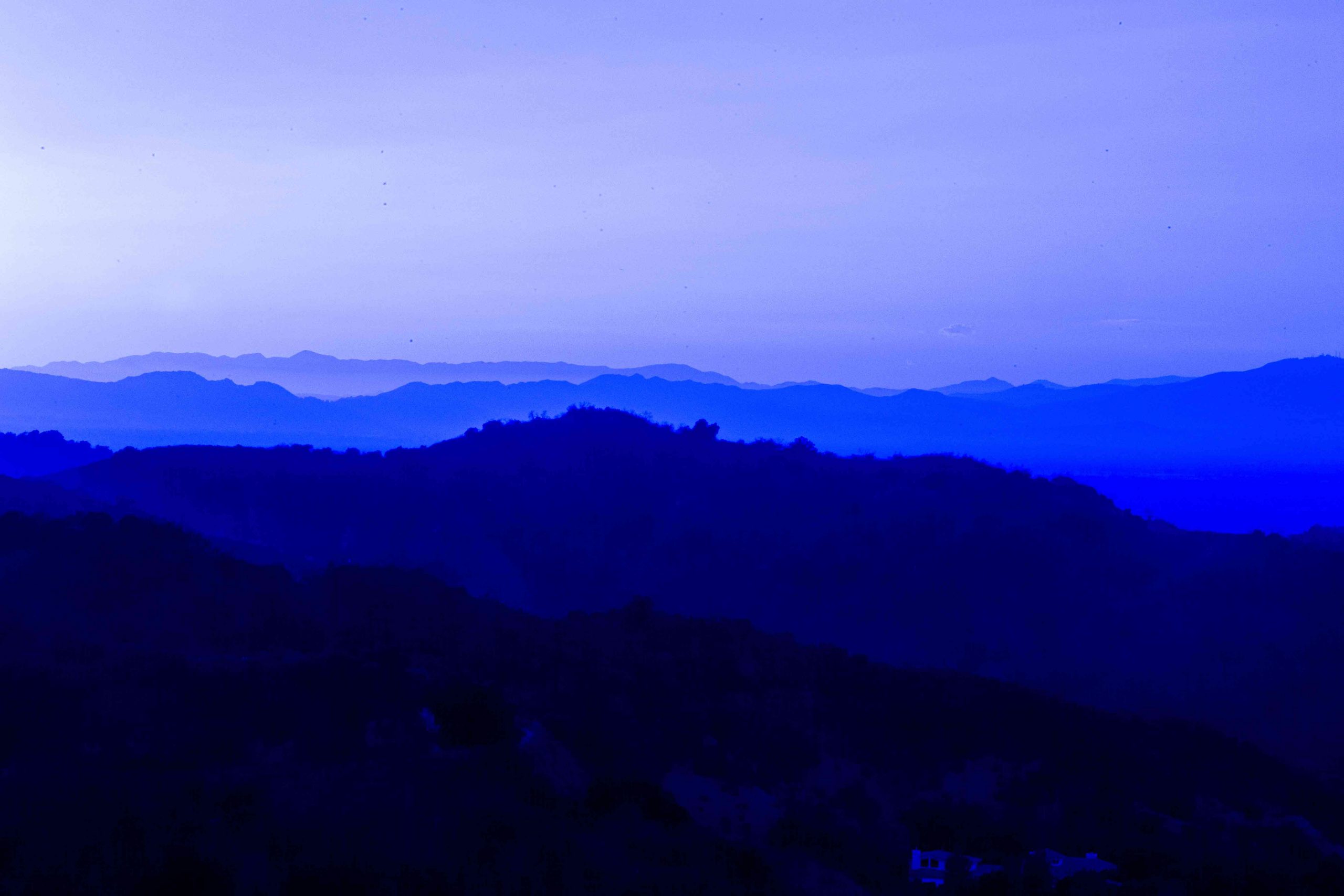 Content Creation - Carolina Rizzotto