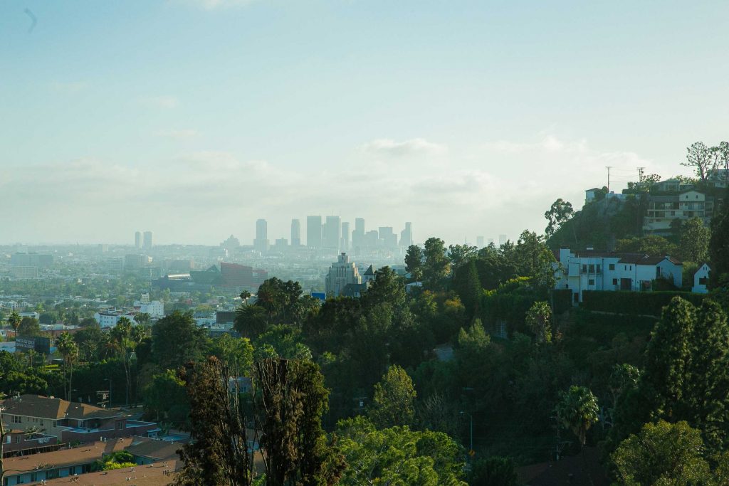 Photography - Carolina Rizzotto